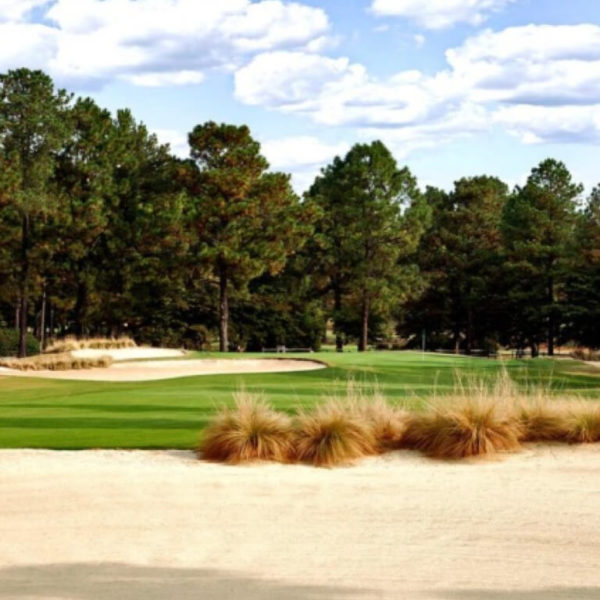 18 Holes of Local Knowledge for the Sandhills Golfer - Home of Golf