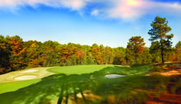 Golf Pinehurst Golf Packages - Home of Golf