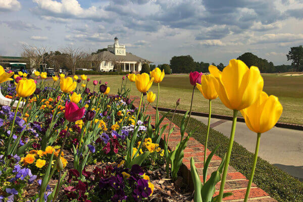 10 Great Things To Do - Home of Golf