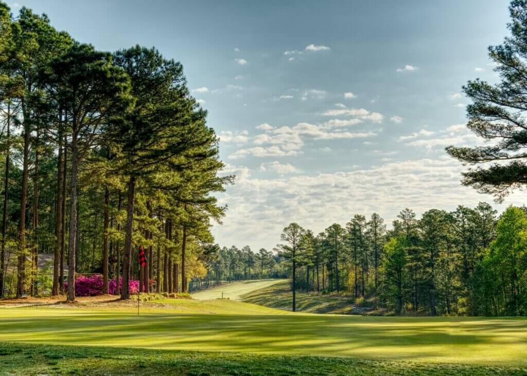 Home Page - Home of American Golf